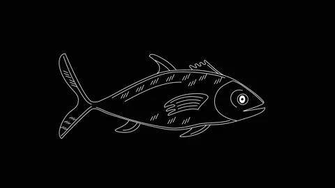 Self drawing animation of fish. Copy spa... | Stock Video | Pond5