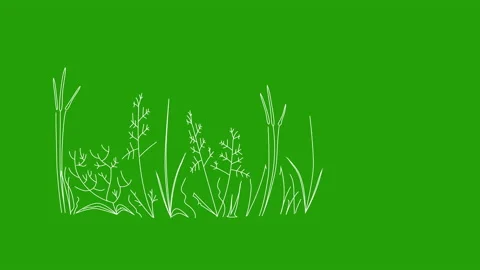 Growing Grass Animation Stock Footage ~ Royalty Free Stock Videos | Pond5