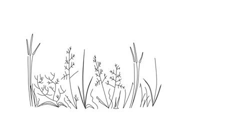 Growing Grass Animation Stock Footage ~ Royalty Free Stock Videos | Pond5