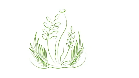 Growing Grass Animation Stock Footage ~ Royalty Free Stock Videos | Pond5