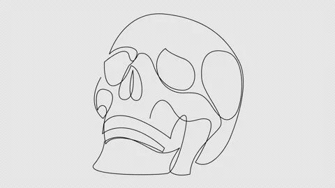 Self drawing animation of human skull. C... | Stock Video | Pond5