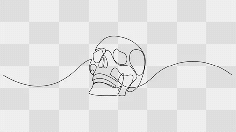 Self drawing animation of human skull. C... | Stock Video | Pond5