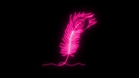 Feather Line Drawing Stock Video Footage | Royalty Free Feather Line ...