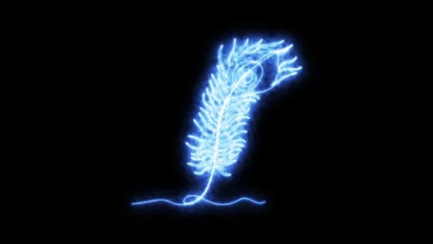 Feather Line Drawing Stock Video Footage | Royalty Free Feather Line ...