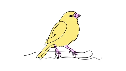 One Line Drawing Bird Stock Video Footage | Royalty Free One Line ...