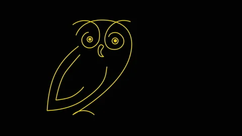 Drawing Bird Stock Videos – Royalty-Free HD & 4K Videos | Page 3