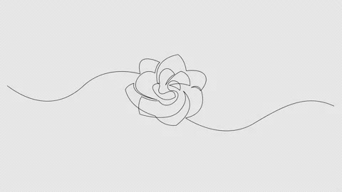 Peony Floer Drawing Stock Videos – Royalty-Free HD & 4K Videos | Pond5