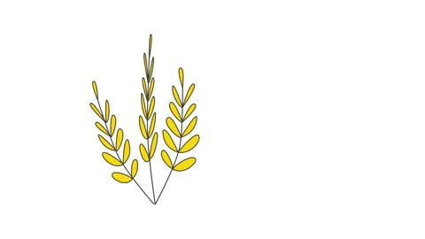 Self drawing animation of plant twigs, b... | Stock Video | Pond5