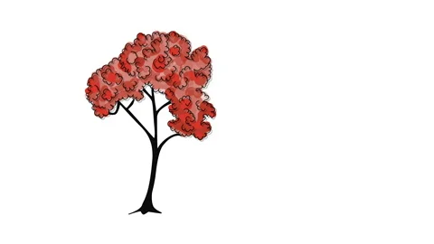 Tree Growth Animation Stock Video Footage | Royalty Free Tree Growth ...