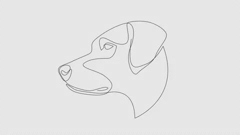 Self drawing animation of single line dr... | Stock Video | Pond5