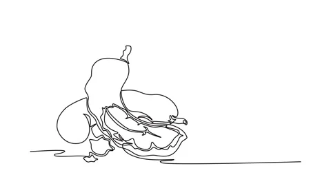 Self drawing animation of single line dr... | Stock Video | Pond5