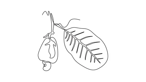 Apple Draw App Stock Videos – Royalty-Free HD & 4K Videos