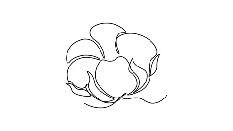 Drawing Sofr Stock Videos – Royalty-Free HD & 4K Videos | Pond5