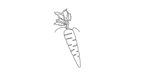 Carrots Line Drawing Stock Videos – Royalty-Free HD & 4K Videos