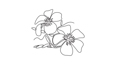 Wall Self Stock Videos – Royalty-Free HD & 4K Videos | Pond5