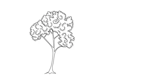 Self drawing animation of trees with lea... | Stock Video | Pond5