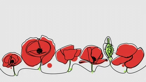 Self-drawing poppies in one line | Stock Video | Pond5