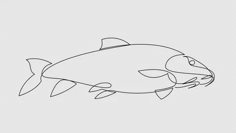 Drawings Drawings Drawings Drawings Drawings Animated Fish Stock Video ...