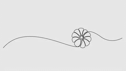 Self drawing simple animation of continu... | Stock Video | Pond5