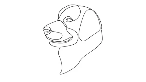 Labrador Retriever Drawing Stock Footage ~ Royalty Free Stock Videos ...