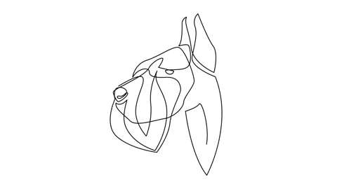 Stylized Hair Drawing Stock Videos – Royalty-Free HD & 4K Videos