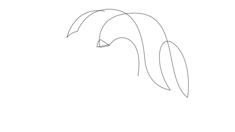 Self drawing simple animation of single ... | Stock Video | Pond5