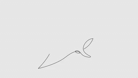 Self drawing simple animation of single ... | Stock Video | Pond5
