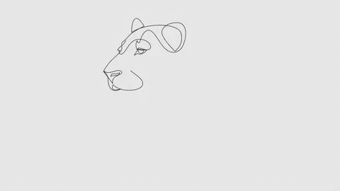 Self drawing simple animation of single ... | Stock Video | Pond5