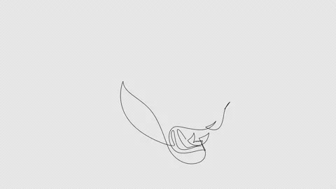 Self drawing simple animation of single ... | Stock Video | Pond5