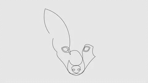 Simple Wolf Stock Footage ~ Royalty Free Stock Videos | Pond5