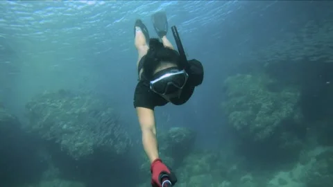 Girls Duck Stock Videos – Royalty-Free HD & 4K Videos | Page 8