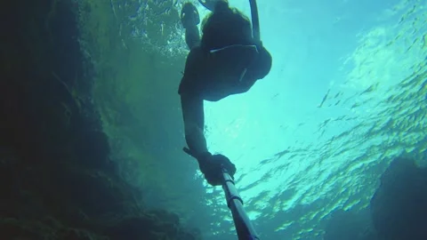 Girls Duck Stock Videos – Royalty-Free HD & 4K Videos | Page 8