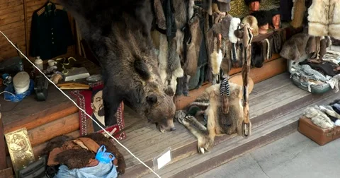 selling the skins of wild animals, bear,... | Stock Video | Pond5