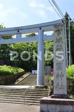 Photograph: Sendai, Miyagi, Japan, June 2023.Torii of Gokoku Shrine in ...