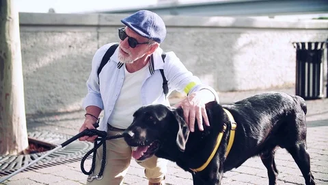Senior blind man with guide dog outdoors... | Stock Video | Pond5