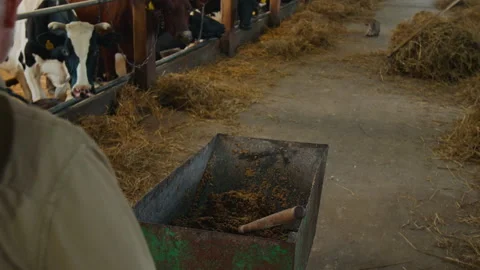 Senior Farmer Pushing Cart of Cow Waste ... | Stock Video | Pond5