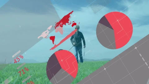 Dog Walking Maps Stock Videos – Royalty-Free HD & 4K Videos | Pond5