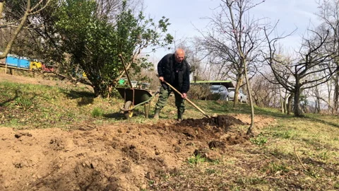 Senior man fertilizing the soil with man... | Stock Video | Pond5