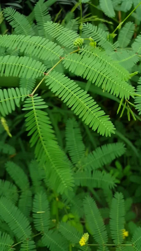 Documentary Touch Stock Videos – Royalty-Free HD & 4K Videos | Pond5