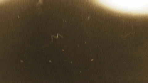 Sepia Texture Stock Footage ~ Royalty Free Stock Videos | Pond5