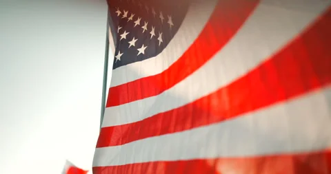 Lives Affected Stock Videos – Royalty-Free HD & 4K Videos