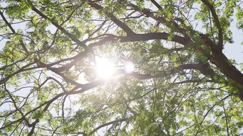 Sequence of Young Woman in Face Mask and... | Stock Video | Pond5
