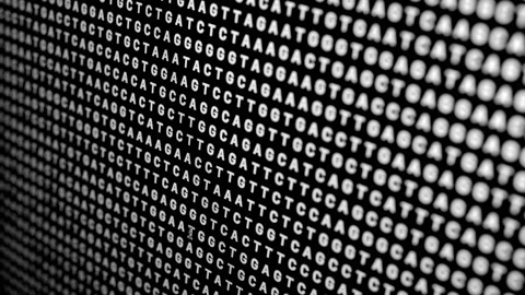 Sequencing of Human DNA on Screen Raw Da... | Stock Video | Pond5