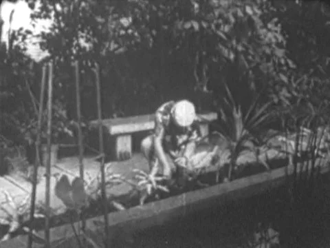 Previous Series Stock Videos – Royalty-Free HD & 4K Videos