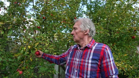 Serious old man standing at the apple bi... | Stock Video | Pond5
