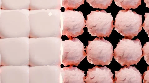 Acnh Skin Tones Stock Videos – Royalty-Free HD & 4K Videos