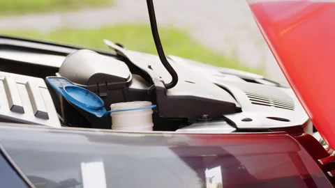 Car Streaming Services Stock Videos – Royalty-Free HD & 4K Videos