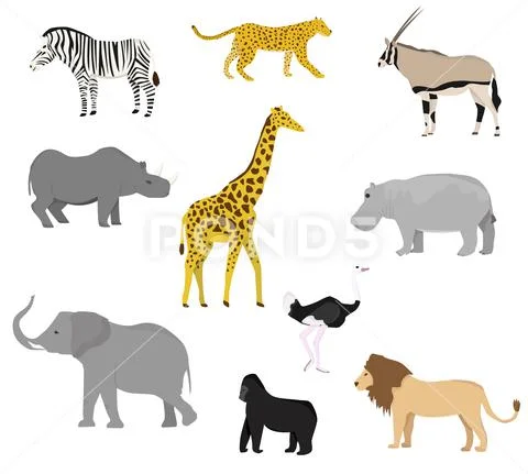 Set with African wild animals. Flat style. ~ Clip Art #170604471