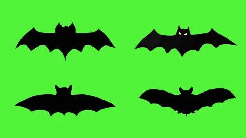 Greenscreen Bats Stock Video Footage | Royalty Free Greenscreen Bats ...