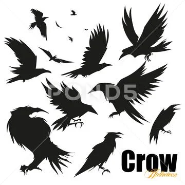 Set of black raven bird in different poses crows Illustration #161077408
